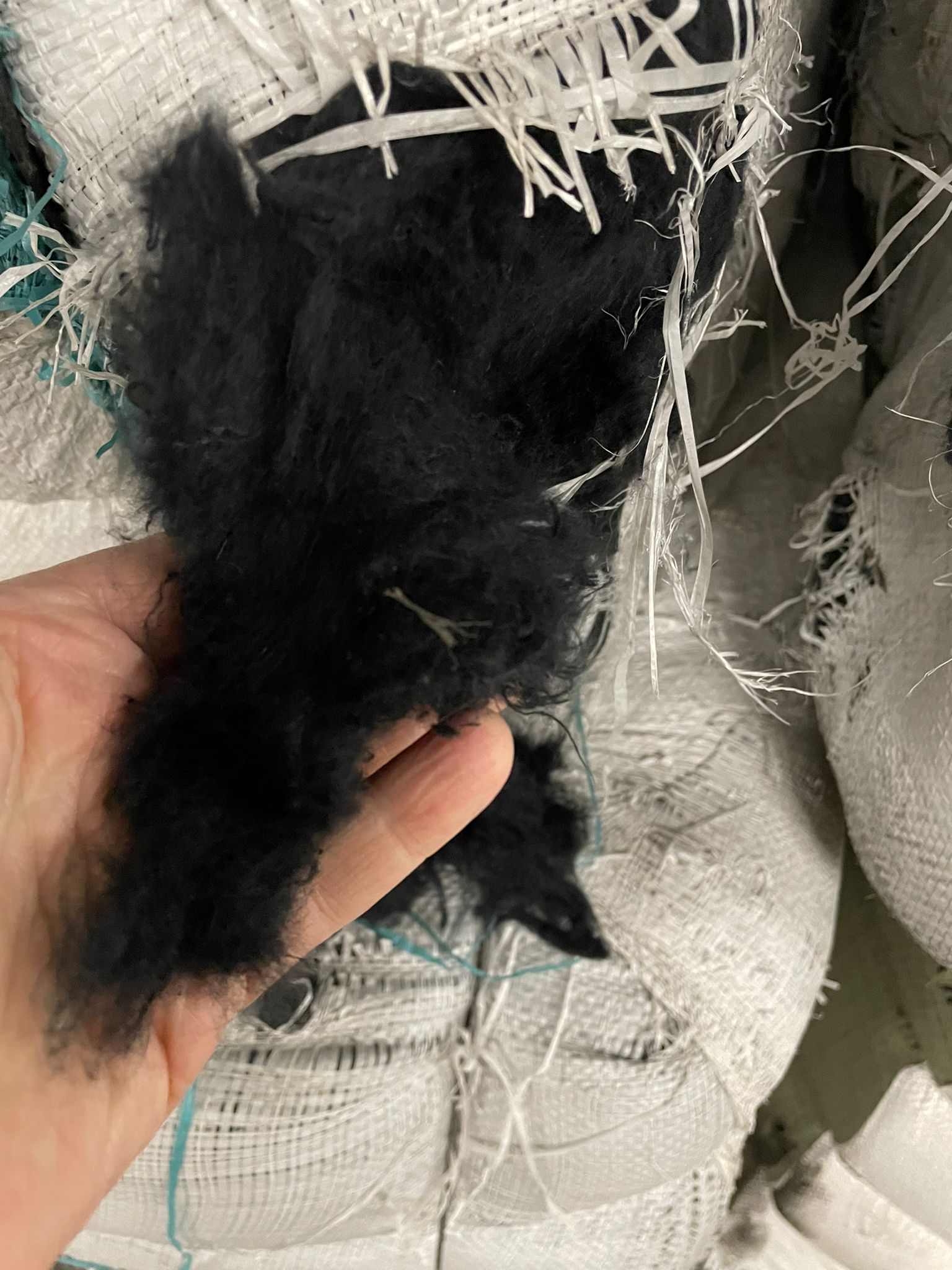 ⚡New! Black Cotton Shoddy Fiber! Just Arrived! Low Export Price from ...